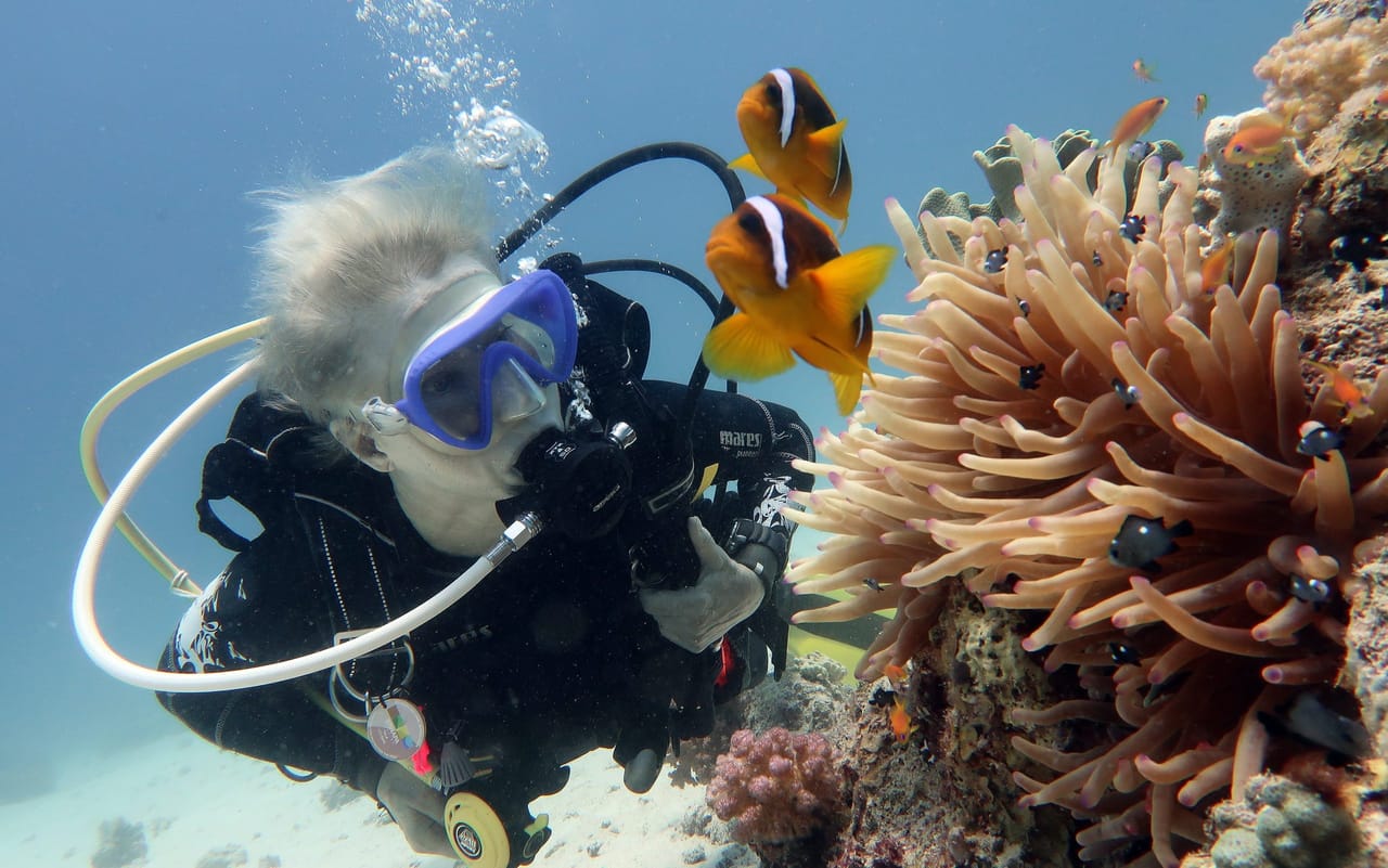 Scuba Diving in Vietnam: Best Spots, Cost & Guide 2026