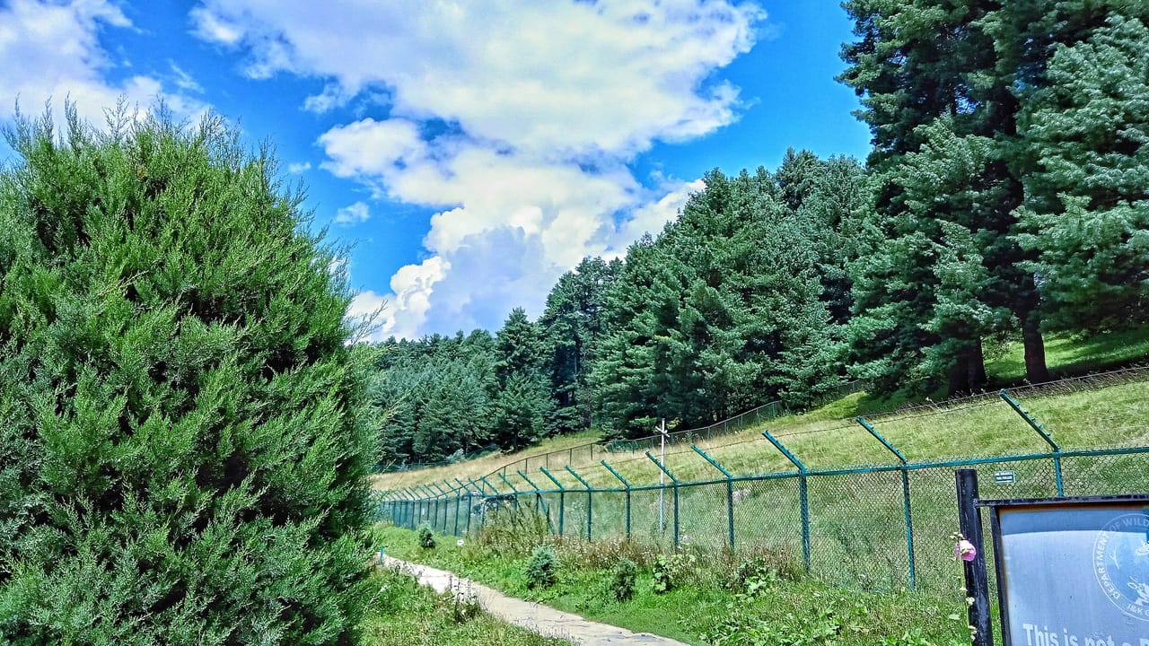 Top 10 Wildlife Sanctuaries In Kashmir To Visit In 2026