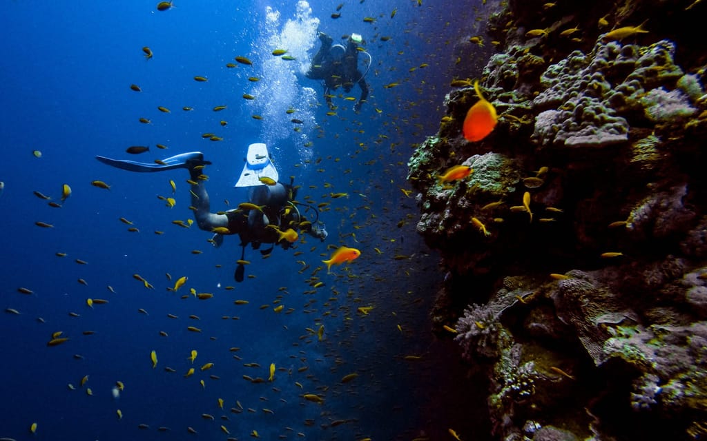 11 Best Spots For Scuba Diving In Dubai