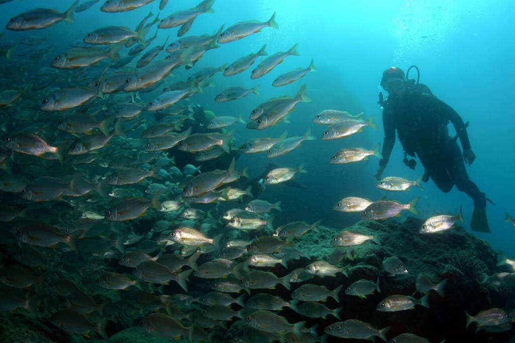 23 Adventure Activities in Singapore: Prices, Time And More