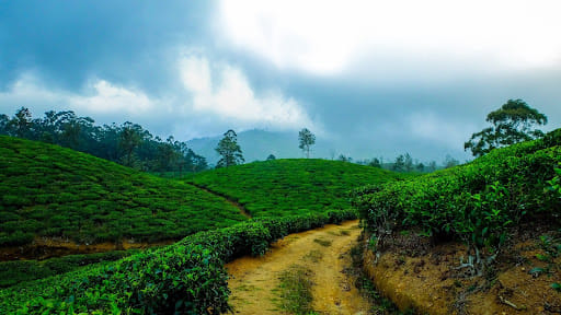 20 Best Places to Visit in Coimbatore: Plan Your Trip Now!