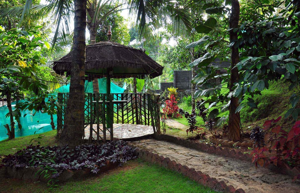 Ultimate Guide To 29 Best Places To Visit In Wayand in 2026
