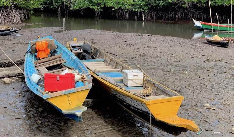Travel Guide to Parrot Island, Andaman: Nature Lovers' Paradise