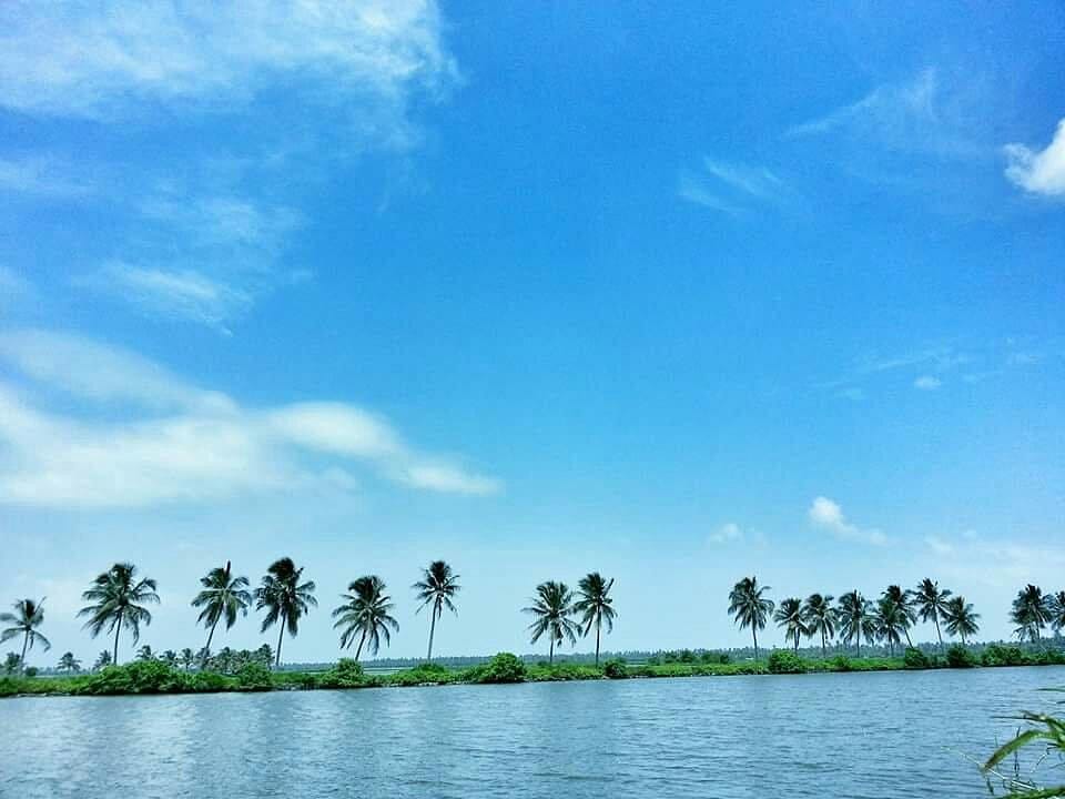 Ultimate Guide To 29 Best Places To Visit In Wayand in 2026