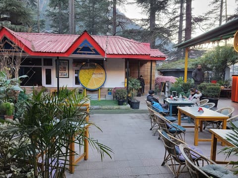 Top 20 Places to Visit in Kasol: The Ultimate Guide