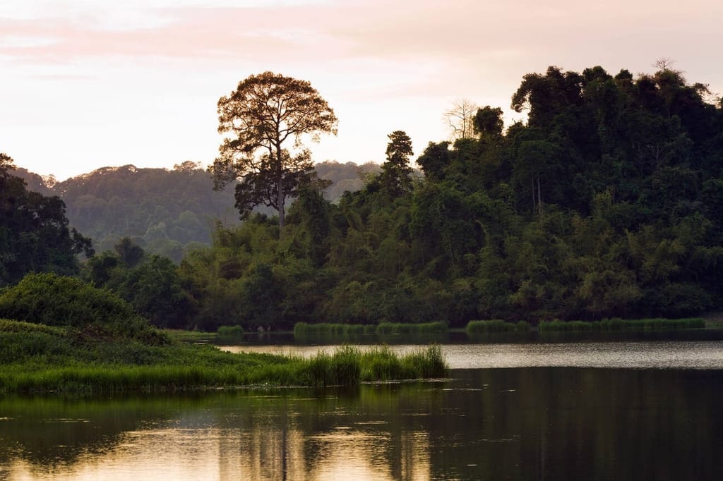 Dong Hoi Travel Guide, Vietnam (2026)| Attractions & More