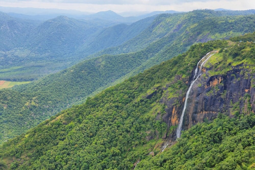 20 Breathtaking Places To Visit In Thekkady | Kerala’s Gem