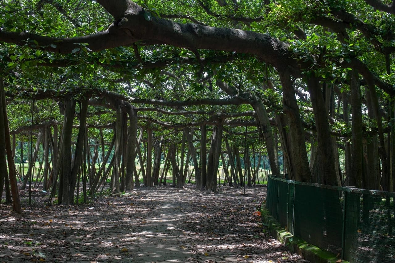 Top 16 Things to Do in Noida