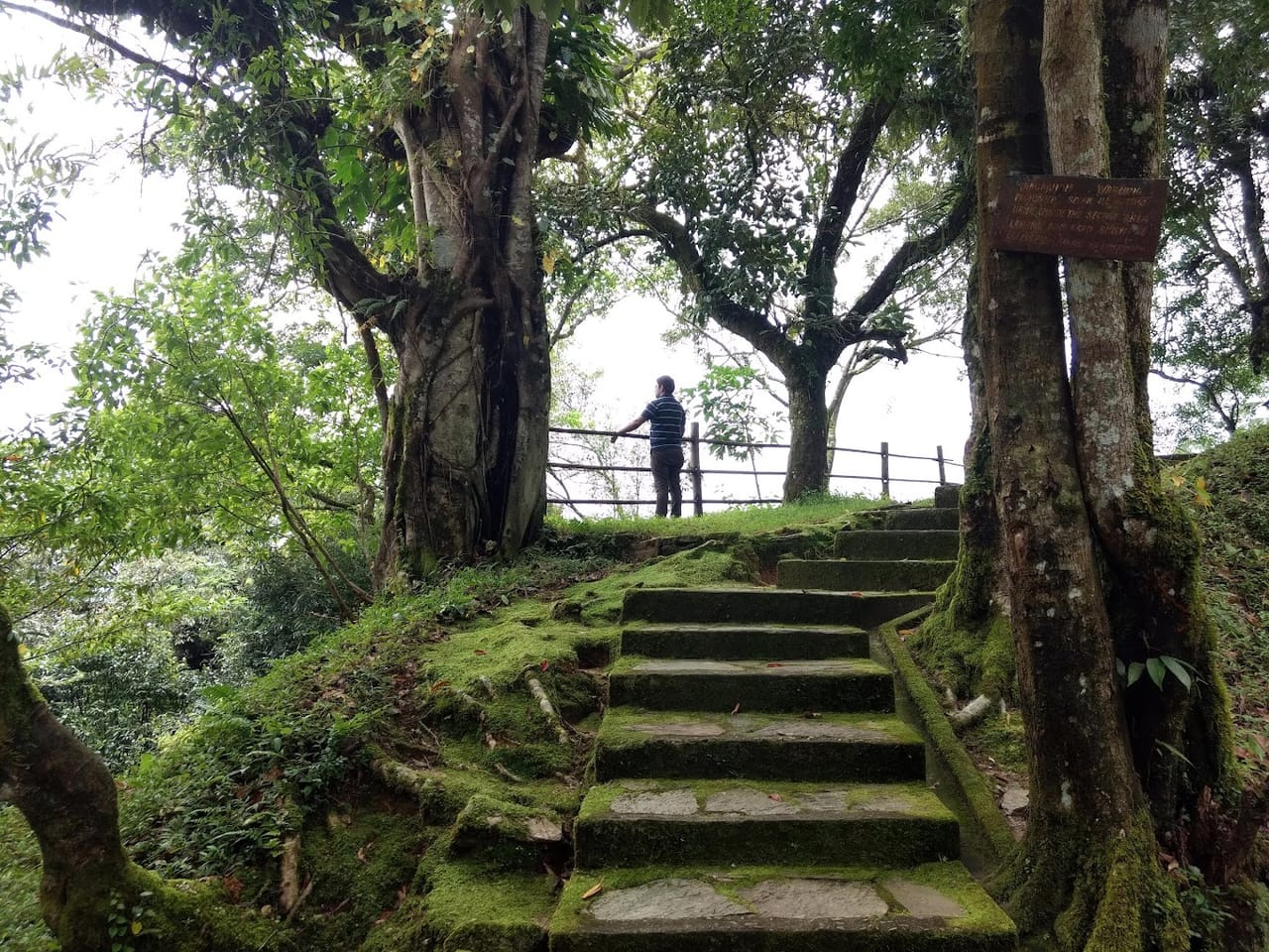 13 Best Places To Visit In Jowai: Location, Best time, How to reach