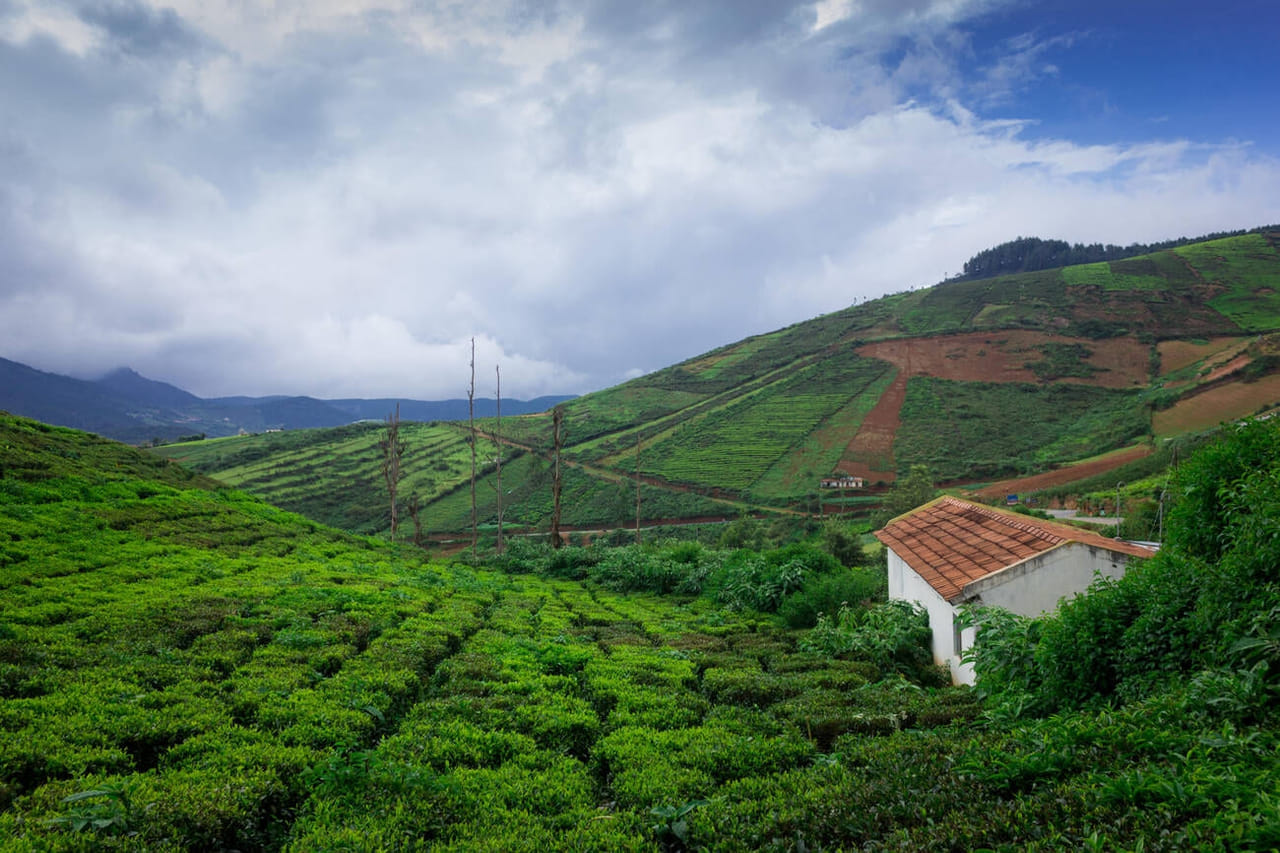 18 Honeymoon Places To Visit In August In India For Couples