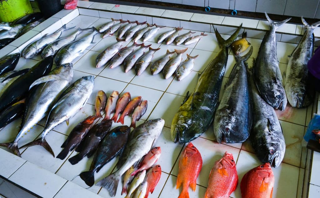 21 Best Places to Visit in Male, Maldives - 2026 Guide