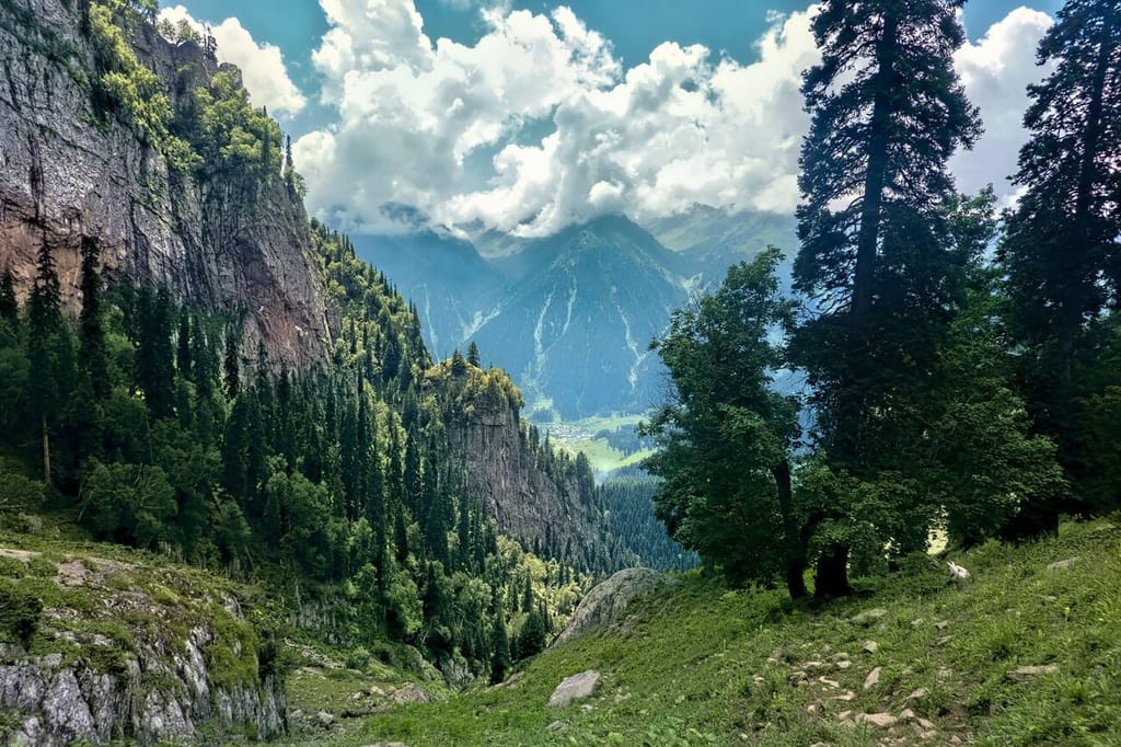Aru Valley Tourism: How to Reach, Attractions & Stay Options