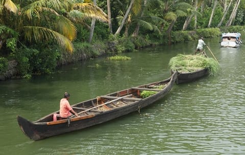 Vembanad Lake, Kottayam: Things to do, how to reach, best time