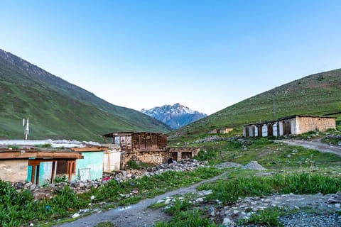 Kishtwar National Park in Kashmir: The Complete Guide For 2026