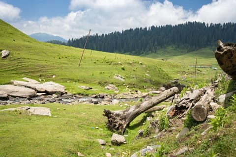 Kishtwar National Park in Kashmir: The Complete Guide For 2026