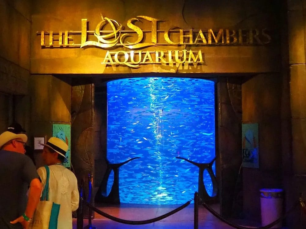 The Lost Chamber Aquarium Dubai: Experience the Magic.