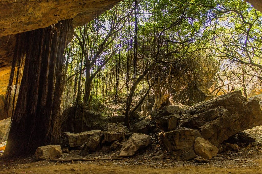Naida Caves: Unveiling Daman and Diu's Hidden Gem