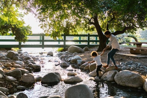 20 Best Adventure Activities In Manali 2026