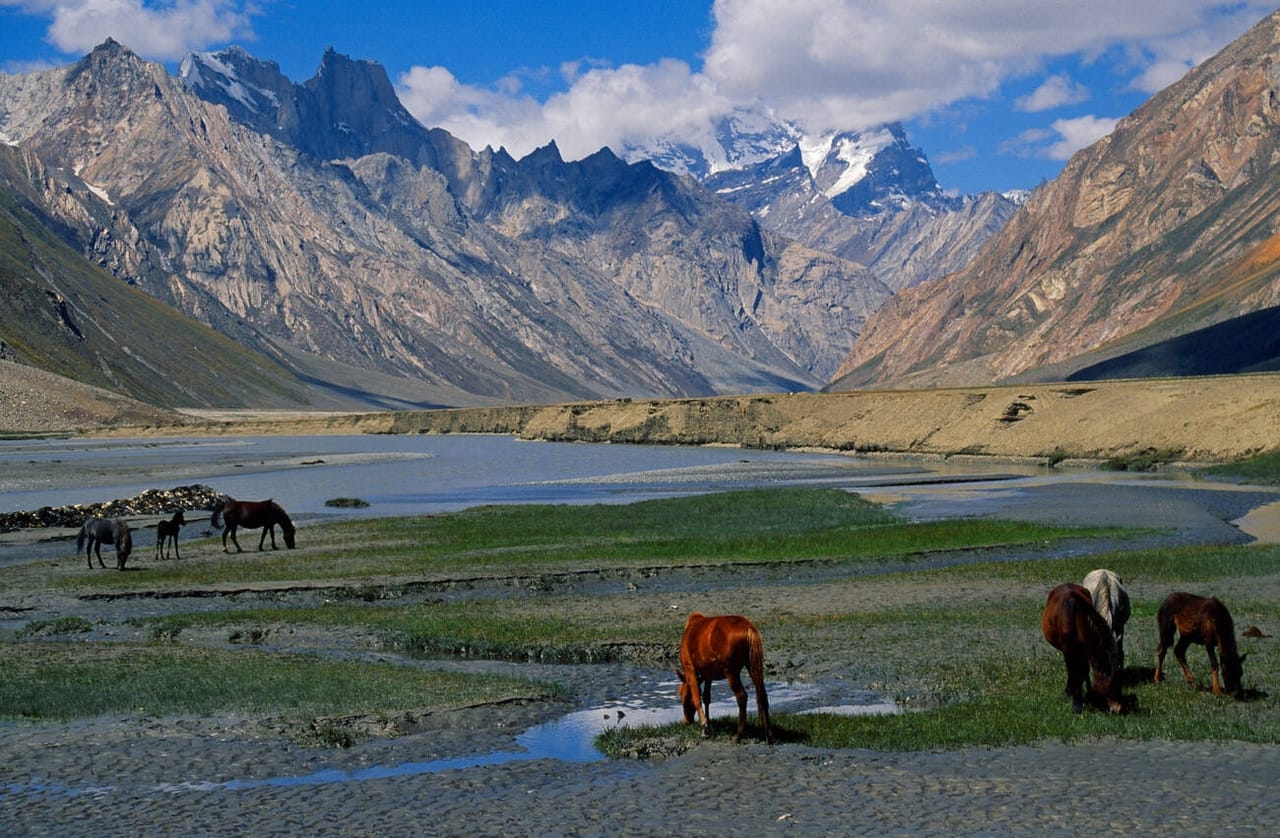 Shingo La Pass Ladakh: Complete Travel Info for 2026