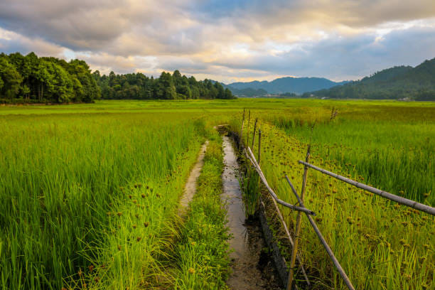 14 Best Places to Visit in Papum Pare: Arunachal Travel Guide