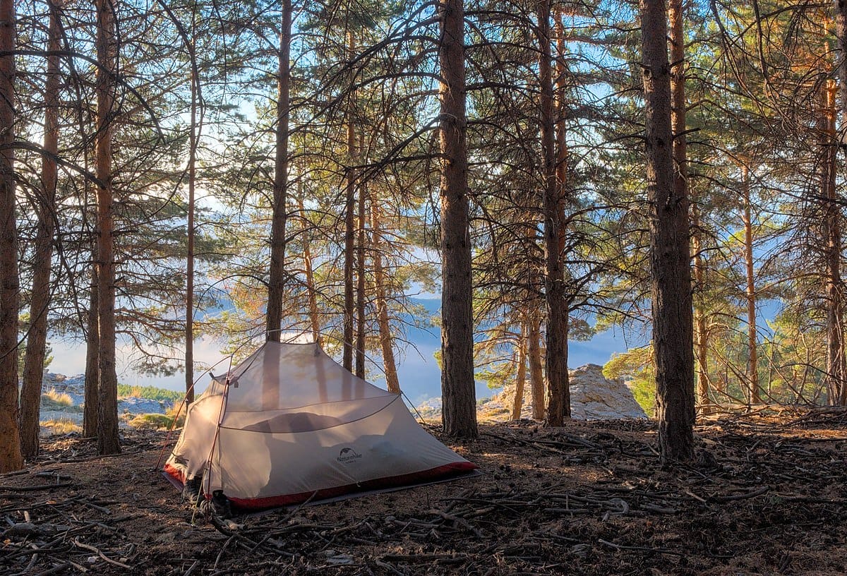 Sethan Valley, Manali: A Travel Guide to Himachal's Hidden Gem