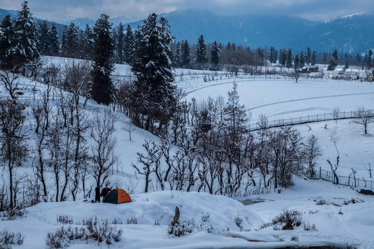 Doodhpathri in Kashmir: The Serene Meadows of Milk