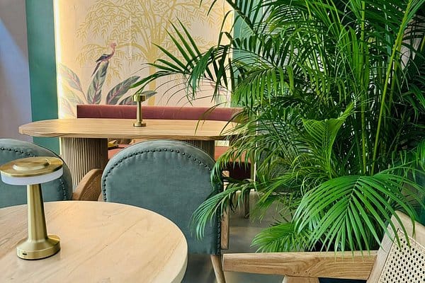 Best Cafes in Mathura: Unveiling its Secrets and Flavours