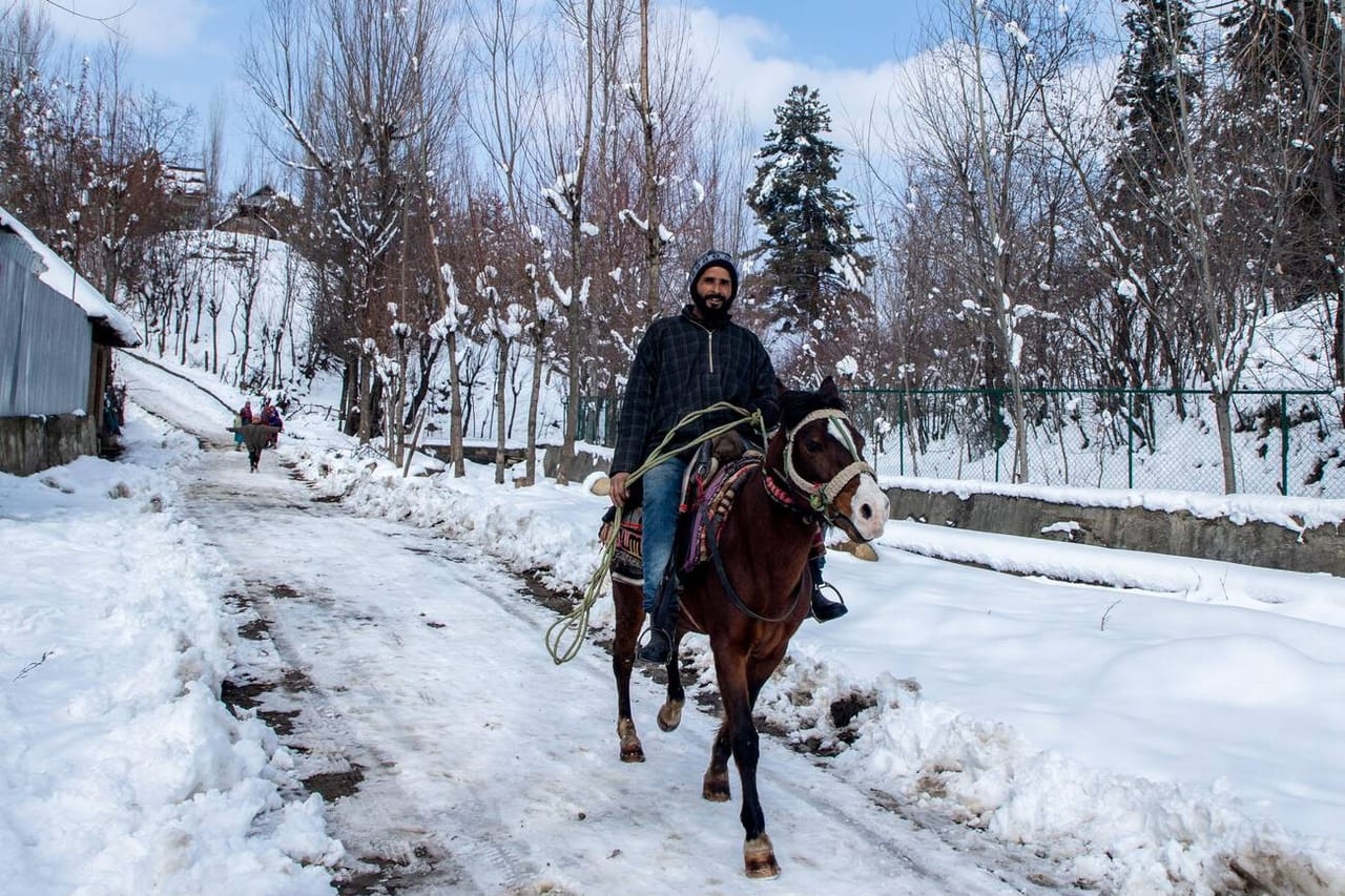 Doodhpathri in Kashmir: The Serene Meadows of Milk