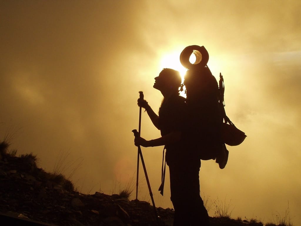 11 Best Treks In Shimla: Must Do Trails For Adventure Seekers in 2026