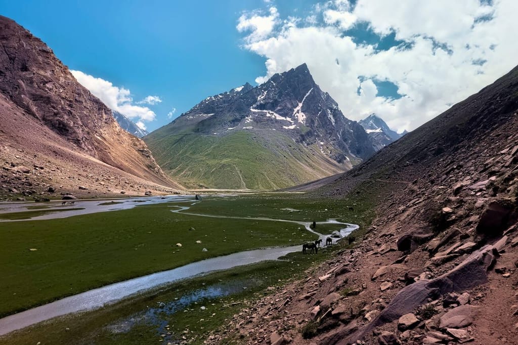An Ultimate Itinerary to Nafran Valley Trek, the Kashmiri Destination