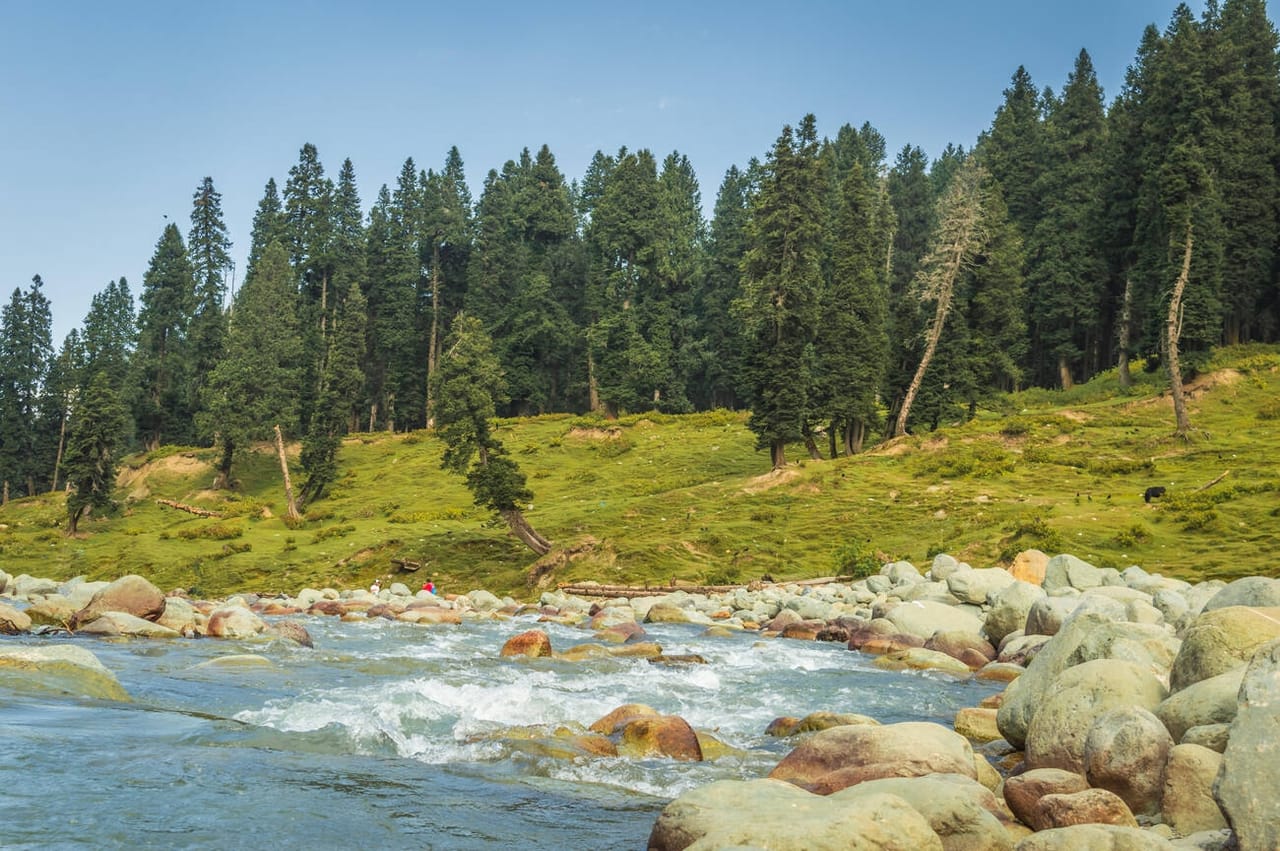 Doodhpathri in Kashmir: The Serene Meadows of Milk