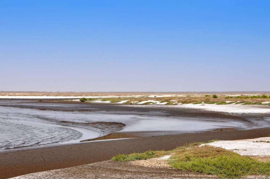 Lothal: A Walk Through An Ancient Site Of Harappan Port Town
