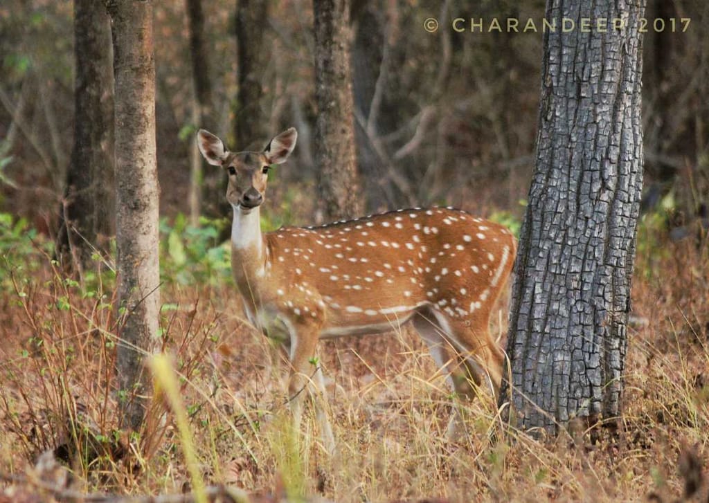 Discover The 8 Famous Places To Visit In Mahasamund in 2026