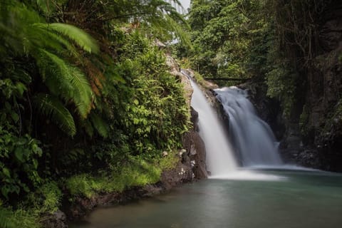 Explore Aling Aling Waterfall: Bali's Ultimate Adventure Spot