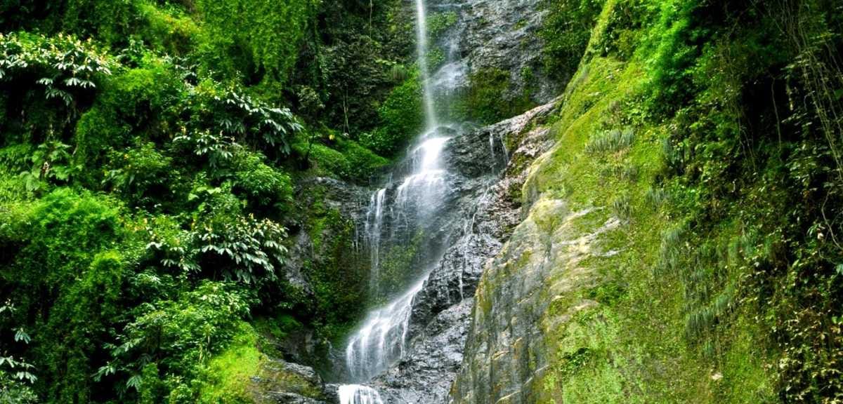 11 Best Treks In Shimla: Must Do Trails For Adventure Seekers in 2026