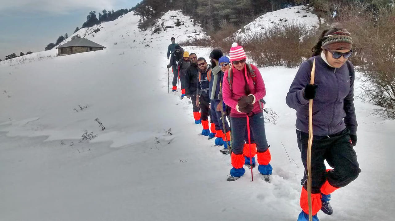 11 Best Treks In Shimla: Must Do Trails For Adventure Seekers in 2026