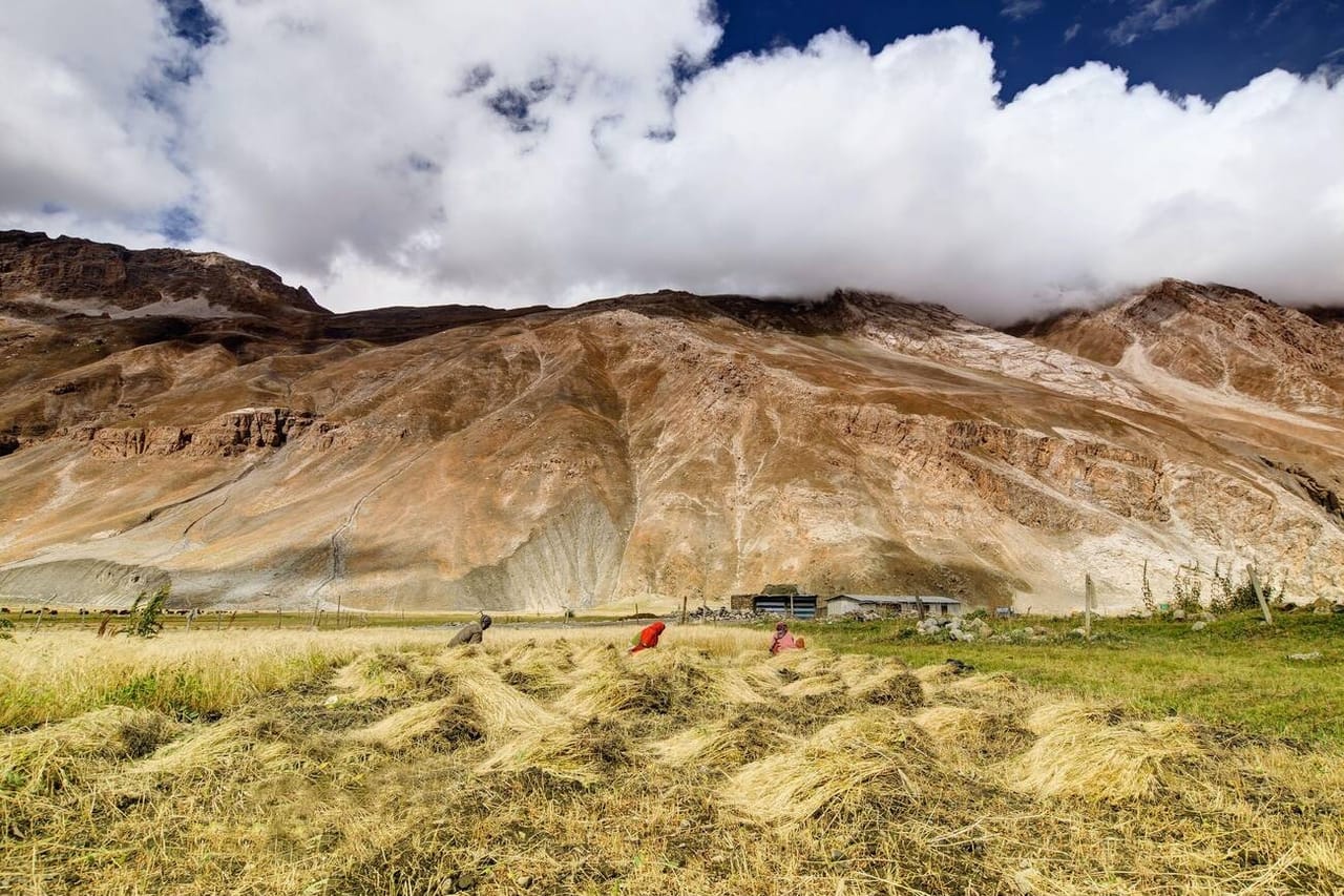Drass Valley: Best Time, Attractions, and Useful Tips