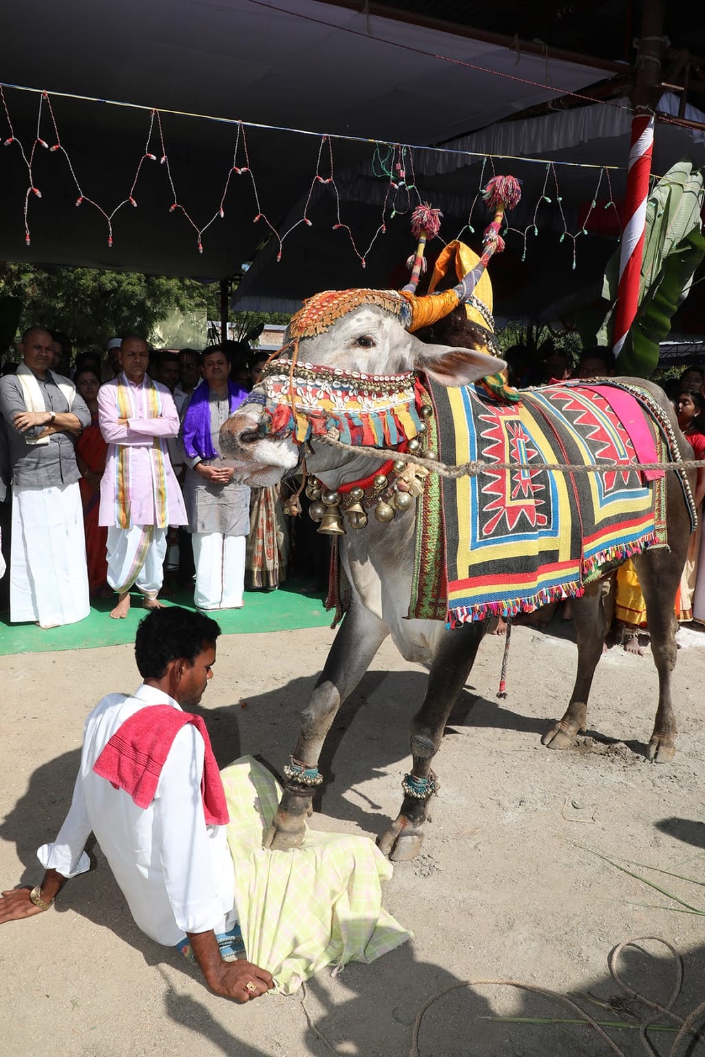 6 Best Festivals of Chittoor To Participate: Best Travel Guide