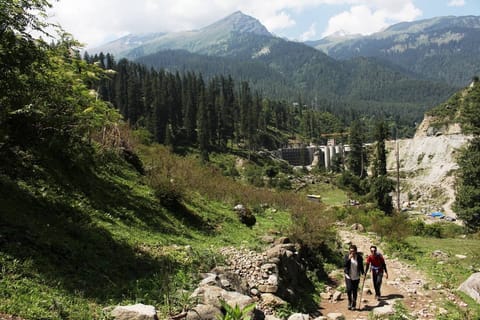 11 Best Treks In Shimla: Must Do Trails For Adventure Seekers in 2026