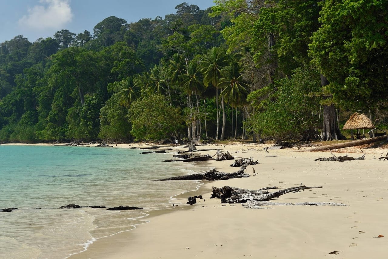 Top 15 Places to Visit in Baratang Island: 2026 Guide