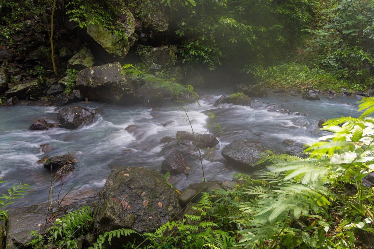 Explore Aling Aling Waterfall: Bali's Ultimate Adventure Spot