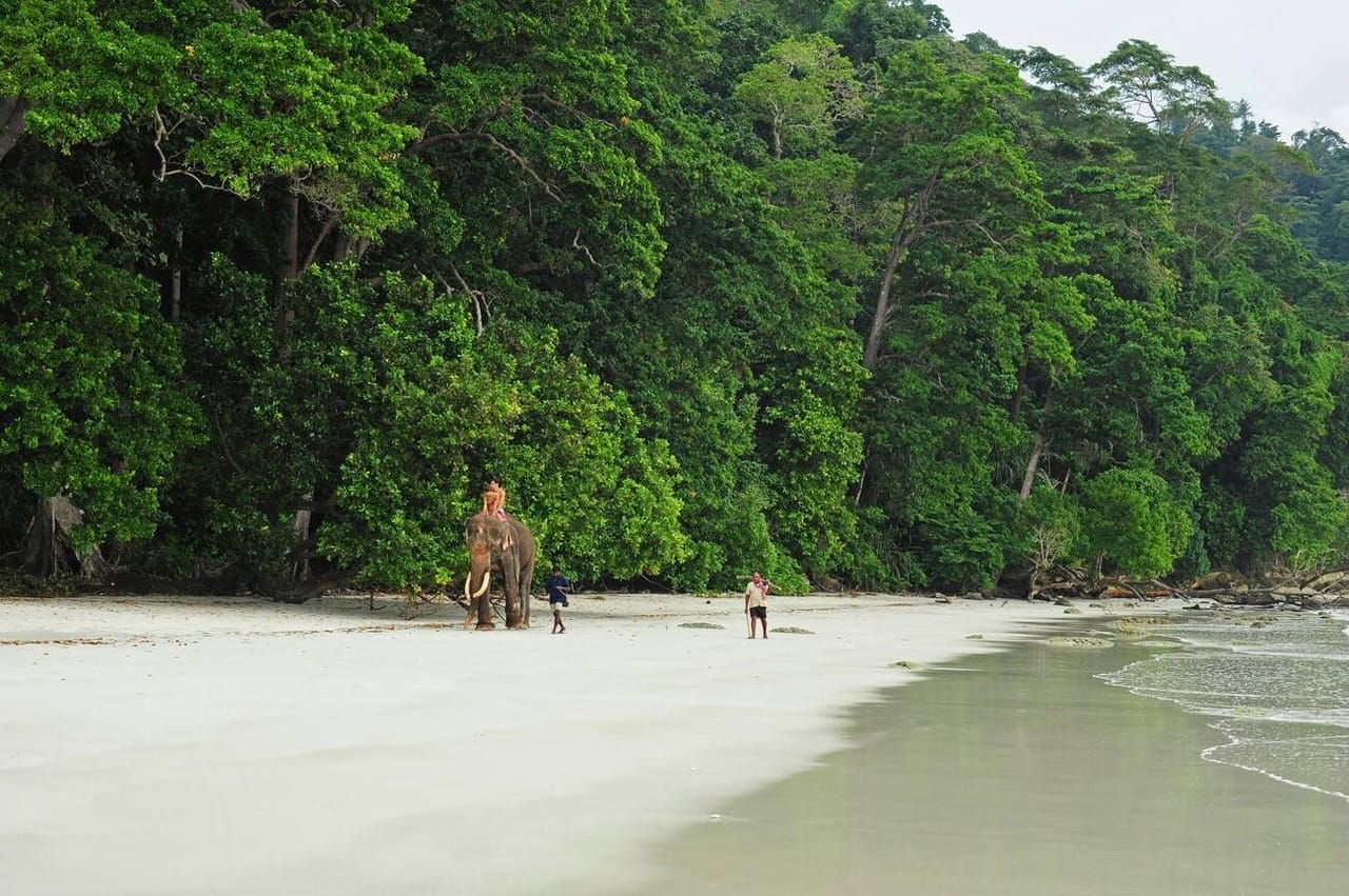 Top 15 Places to Visit in Baratang Island: 2026 Guide