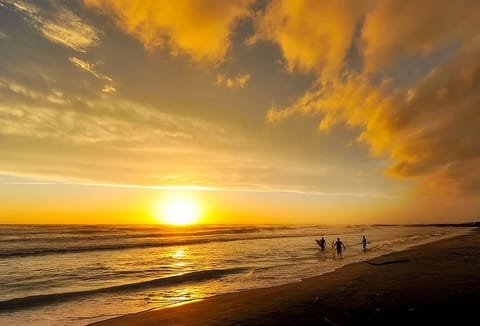 Versova Beach: All You Need To Know About This Hidden Gem