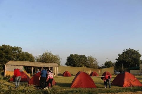 20 Amazing Adventure Camps Near Delhi for A Thrilling Retreat