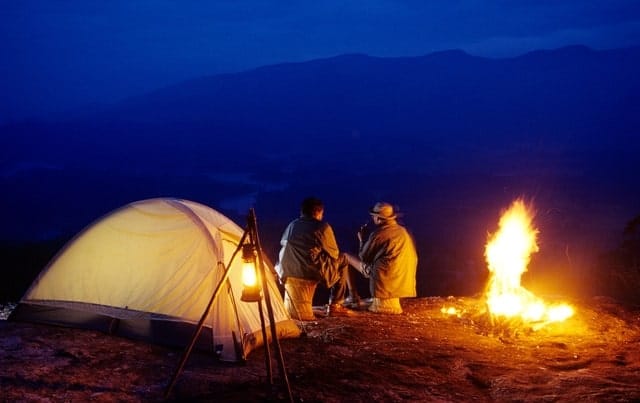 20 Amazing Things to Do in Wayanad: Best Traveller's Guide