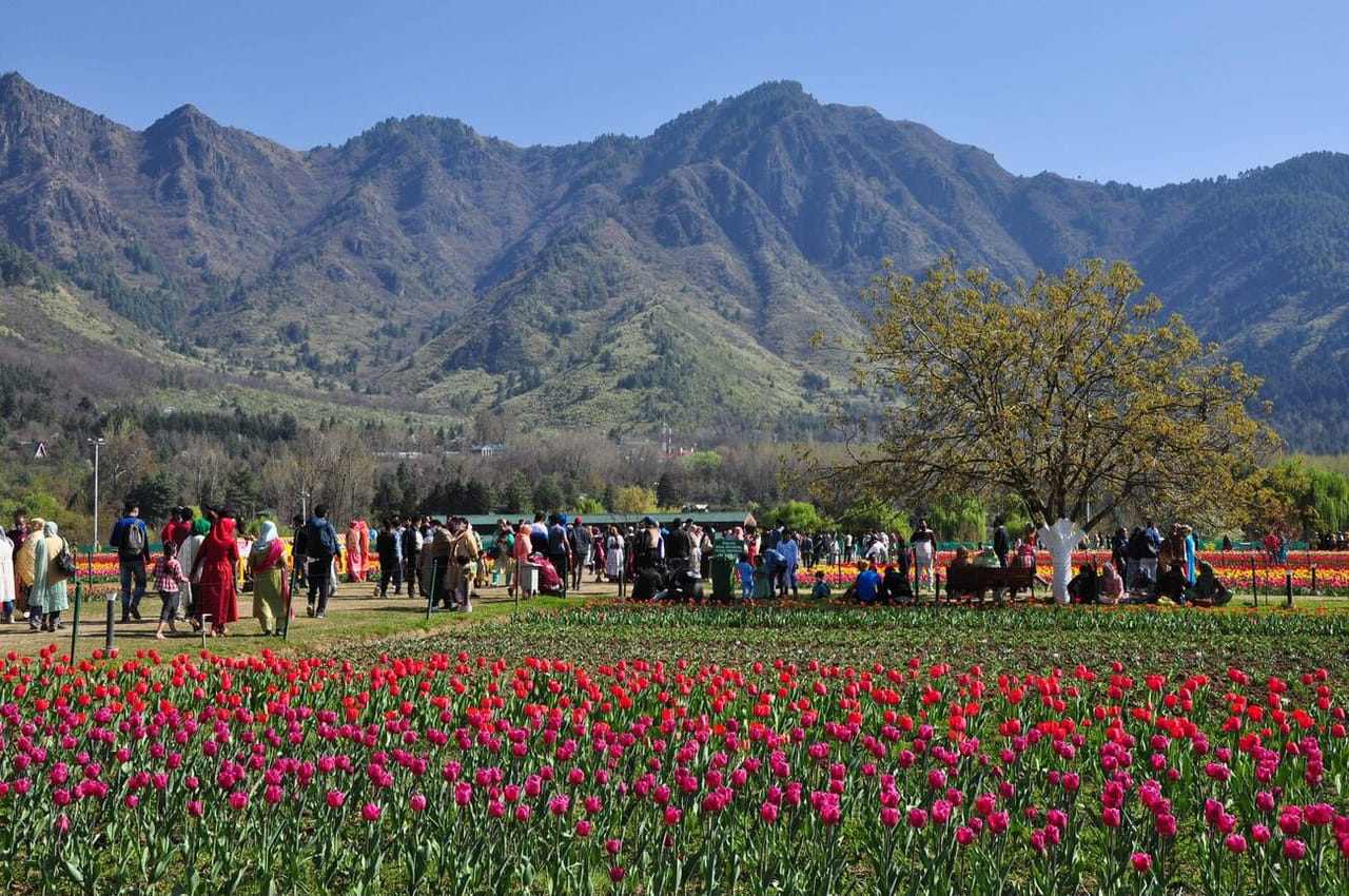 15 Epic Things To Do in Gurez Valley; The Hidden Kashmiri Gem