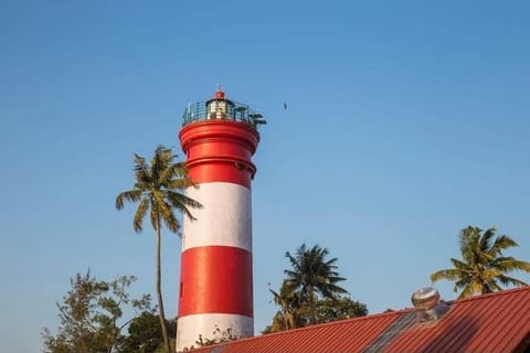 Top 16 Things to Do in Alleppey: Uncover Best Experiences!