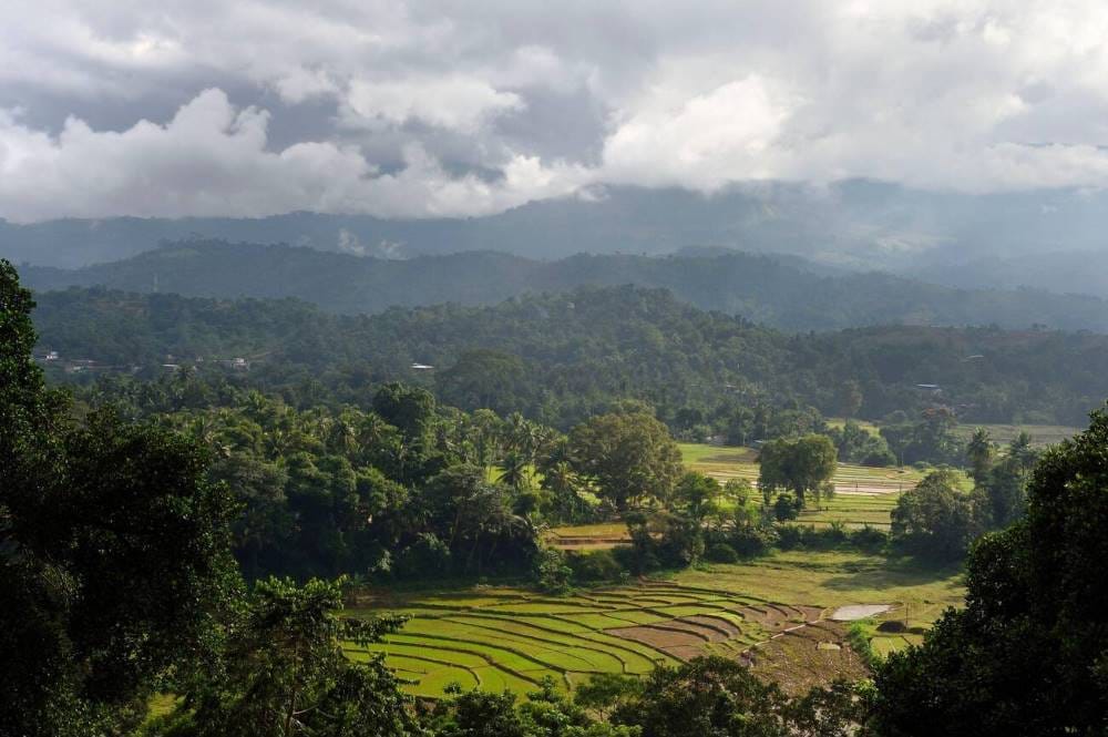 Top 30 Places To Visit In Matale, Sri Lanka | Best Places