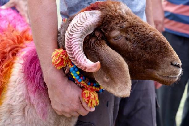 Festivals of Kerala: Exploring 43 Unique and Colourful Traditions