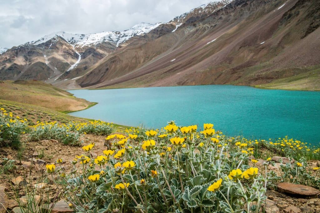 Chandratal Lake in Spiti: 2026 Travel Guide